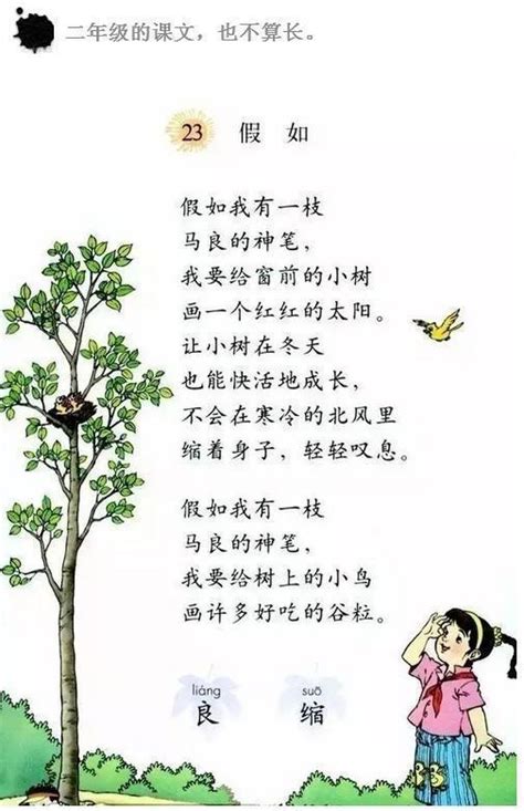特級教師分享：暑期語文這樣學，孩子成績一定一路上升！ 每日頭條