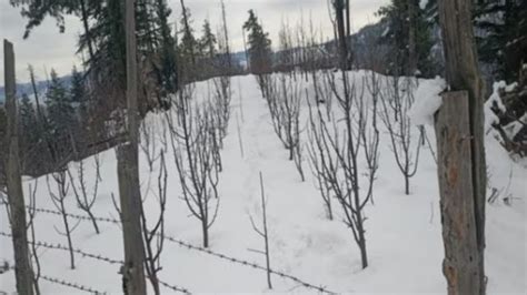 Weather Update North India Prepares For Weather Variations Imd