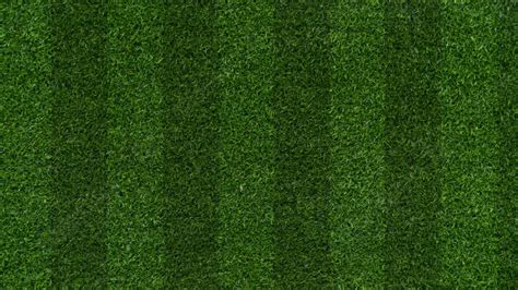 Green Grass Poster Field Simple Powerpoint Background For Free Download