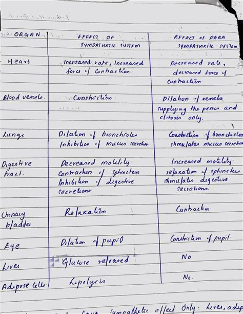 Autonomic Nervous System Short Docsity
