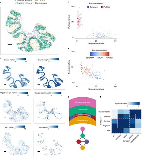 Rctd Applied To Cell Type Learning In Slide Seq Datasets A Rctds