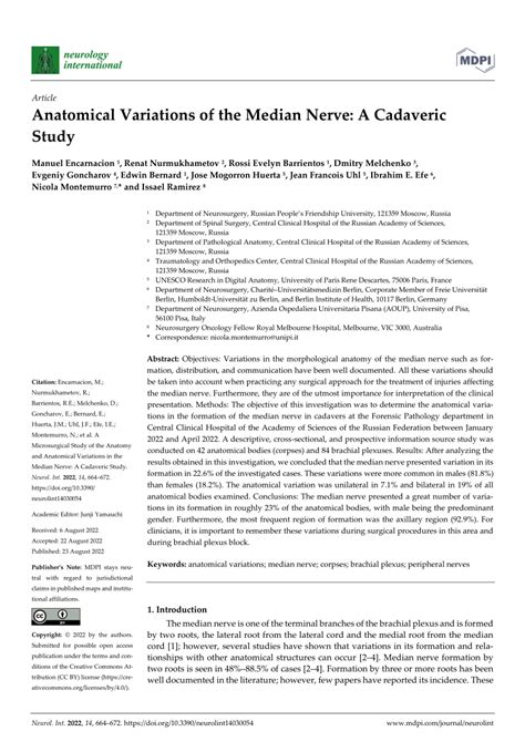Pdf Anatomical Variations Of The Median Nerve A Cadaveric Study
