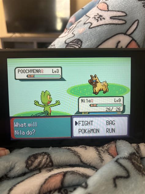 [gen 3] Found A Random Shiny Poochyena While Looking For A Ralts In Emerald Found Under 5