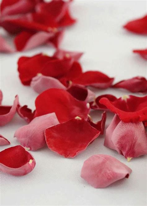 San Valent N Regalos Sexy Para Complacer A Tu Pareja