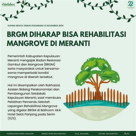 BRGM Diharap Bisa Rehabilitasi Mangrove Di Meranti Jikalahari