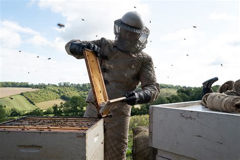 【電影線上看】蜂刑者 The Beekeeper 首映會 生活．總該來點情趣 Delight Of Life