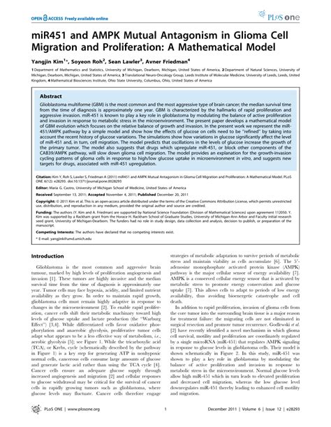 Pdf Mir451 And Ampk Mutual Antagonism In Glioma Cell Migration And