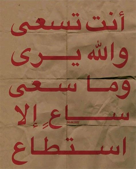 Mona Abd Elhamid Posted On Linkedin