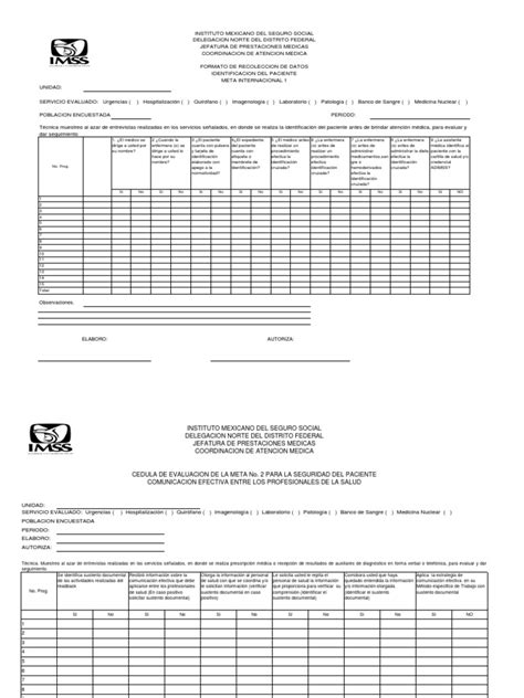 Metas Internacionales De Enfermería Pdf Cirugía Lavado De Manos
