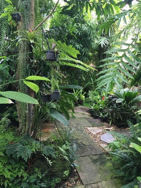 Pin By Kitsada Thammarom On ไอเดียจัดสวน Dream Garden Backyards