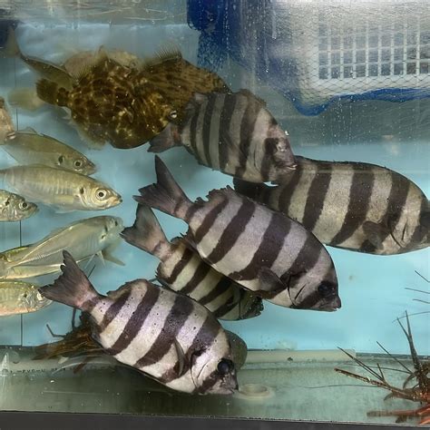 味処 一夢 Ichimu16 • Instagram Photos And Videos