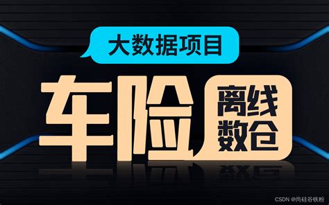 车险离线数仓项目 保险数仓项目 csdn博客