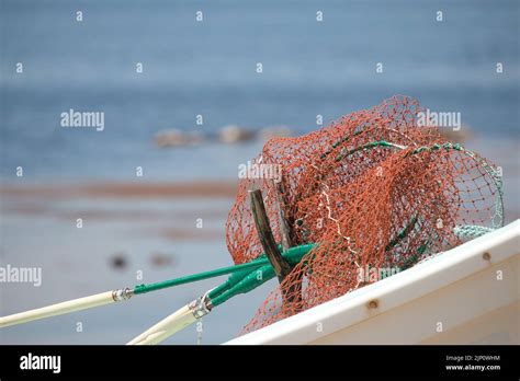 Red Sea Urchin Nets On Japanese Boat Stock Photo Alamy