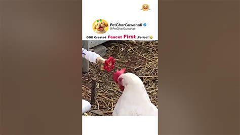🐓🥚solved 😅 Youtube