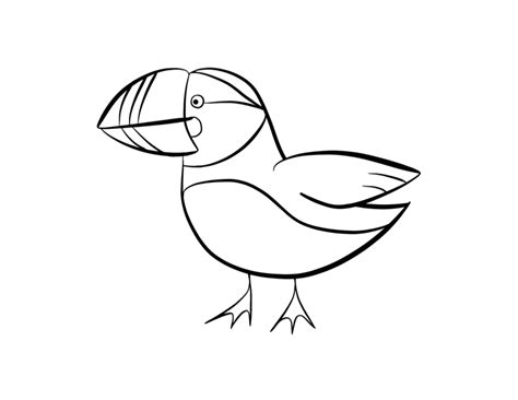 Puffin Drawing At Getdrawings Free Download