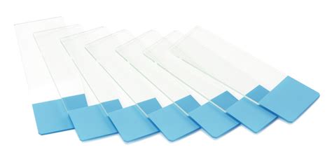 Micro Slides And Cover Glass Euromex