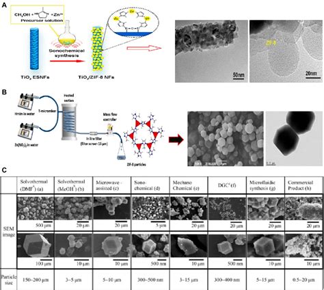 Frontiers Zeolitic Imidazolate Framework 8 A Versatile Nanoplatform For Tissue Regeneration