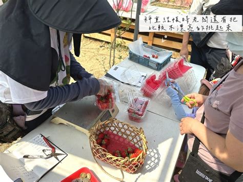 高雄景點 橋頭 採草莓 昱禾樂有機農場 捷運可到親子景點推薦 Rika．栗卡食光