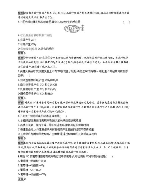 第5章 细胞的能量供应和利用 第3节 细胞呼吸的原理和应用 教习网试卷下载
