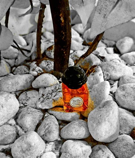 Twilly Dhermès Eau Poivrée Eau De Parfum Hermès Perfume A Fragrance