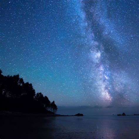 Hyper Preg On Tumblr