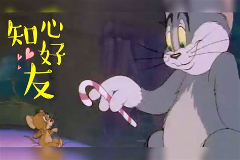 猫和老鼠：我们既是对手也是朋友，世界上没有谁比我更懂你