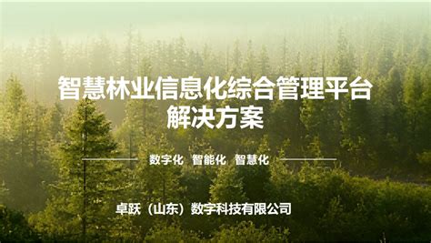 智慧林业信息化综合管理平台 解决方案 卓跃数科