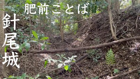 【肥前ことば】針尾城（肥前国）【二重の空堀と土塁】 Youtube
