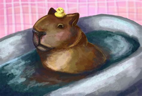 Capybara By Mirrraarrrt On Deviantart