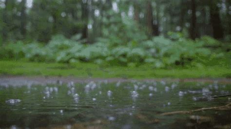 Rain Here Comes The Rain  Rain Herecomestherain Raindrops Discover And Share S