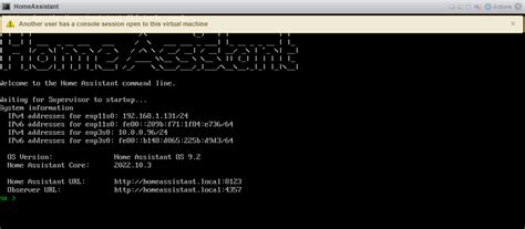 Home Assistant OS Generating IPV Address Even Though IPV Is Disabled Configuration Home