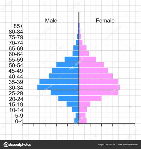 Population Pyramid Template Sample Age Structure Diagram Isolated White