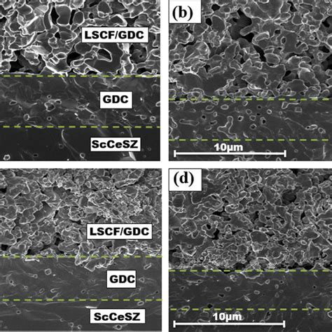 E Microstructure Of The Half Cell With Gdc Interlayer A Before Download Scientific Diagram