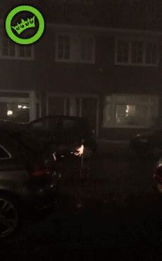 Best Open Window Images On Pholder Aww Room Porn And Blackcats