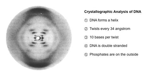 Explainer What Is Xray Crystallography Explainer What Is X Ray