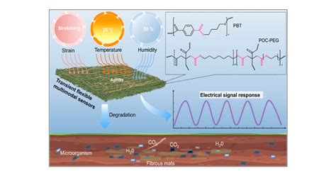 Transient Flexible Multimodal Sensors Based On Degradable Fibrous