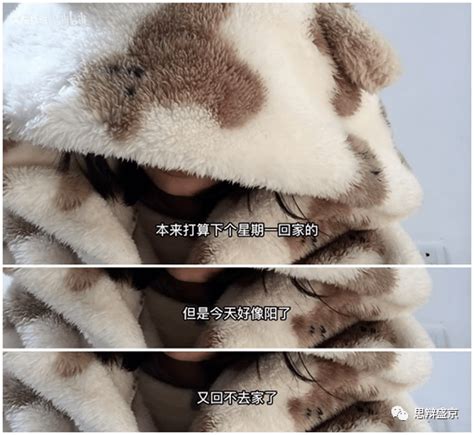 “北漂、沪飘、x漂”的沈阳老铁们：在他乡还好吗？视频东北时候