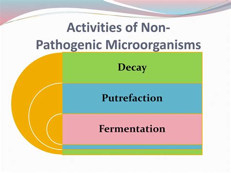 Pathogenic And Non Pathogenic Organismspptx