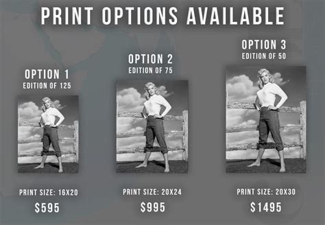 Bert Six Jayne Mansfield Full Length With Fence Fine Art Print For