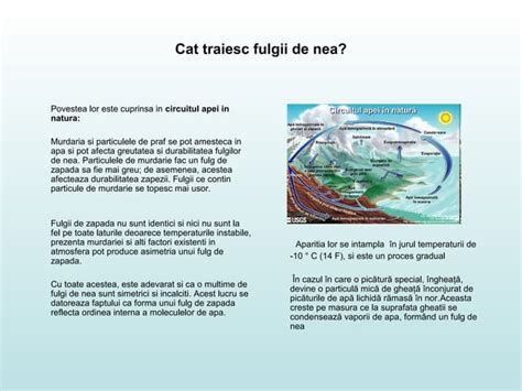 Povestea Fulgilor De Nea Ppt