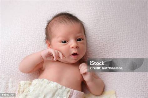 갓 태어난 아기가 여자의 얼굴만 1개월에 대한 스톡 사진 및 기타 이미지 1개월 귀여운 기민 Istock