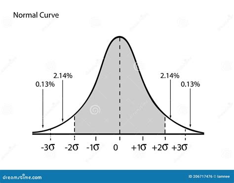 Normal Distribution Diagram Or Bell Curve On White Background Stock Vector Illustration Of