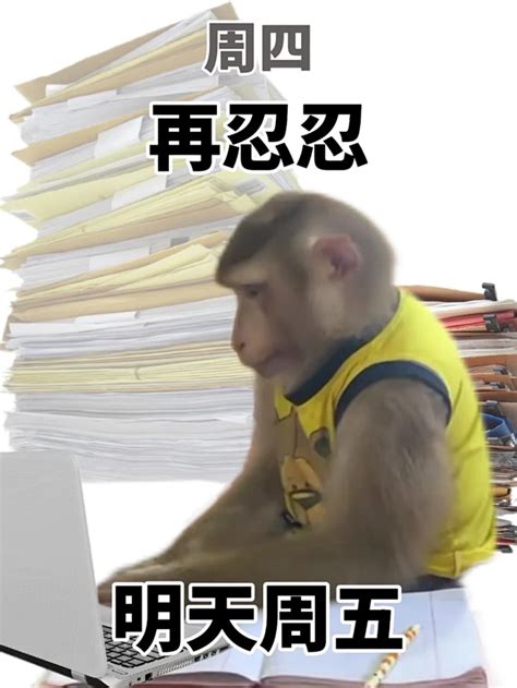 打工人一周精神状态be Like 小红书 花瓣网