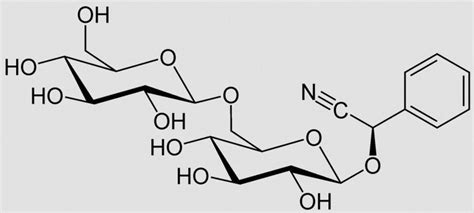 Wilted Cherry Leaves Kill In 2025 Cherry Leaf Wilted Killing
