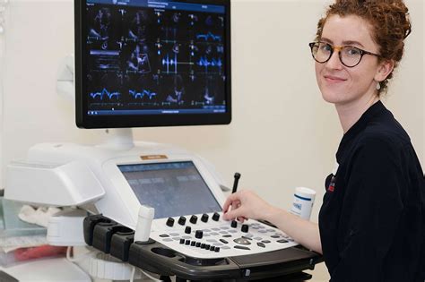 Transthoracic Echocardiogram Tte Central Victorian Cardiology