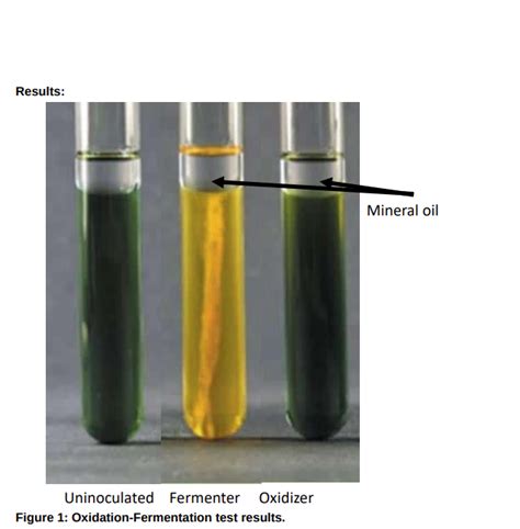 Solved Oxidation Fermentation Test Objectives After