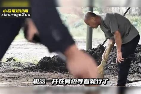 300一公斤一天捕几百斤为了钱大肆毁灭生态这真的值得吗 生态