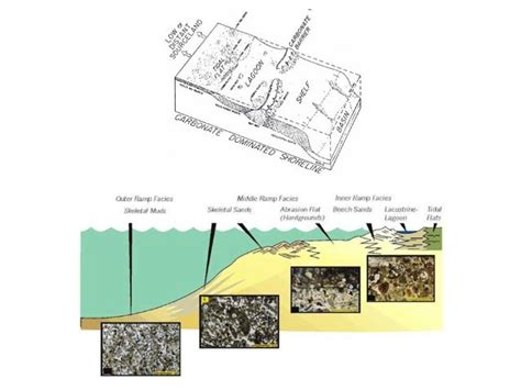 Carbonate Depositional Systems