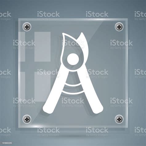 회색 배경에 고립 된 아이콘트리밍을위한 흰색 원예 수제 가위 나무 손잡이가 달린 가위를 가지치기 정사각형 유리 패널 벡터 가위에 대한 스톡 벡터 아트 및 기타 이미지