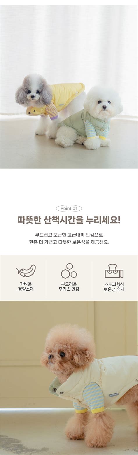 아루패딩 주펫츠랜드